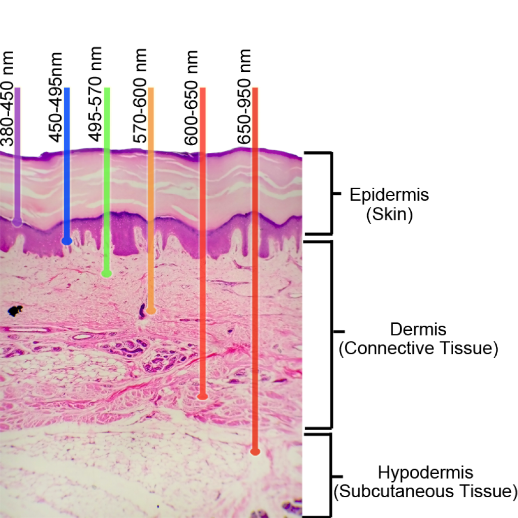 Healthy Wave 5 Therapy Reivew - #1 Far Infrared Device - Crash Course
